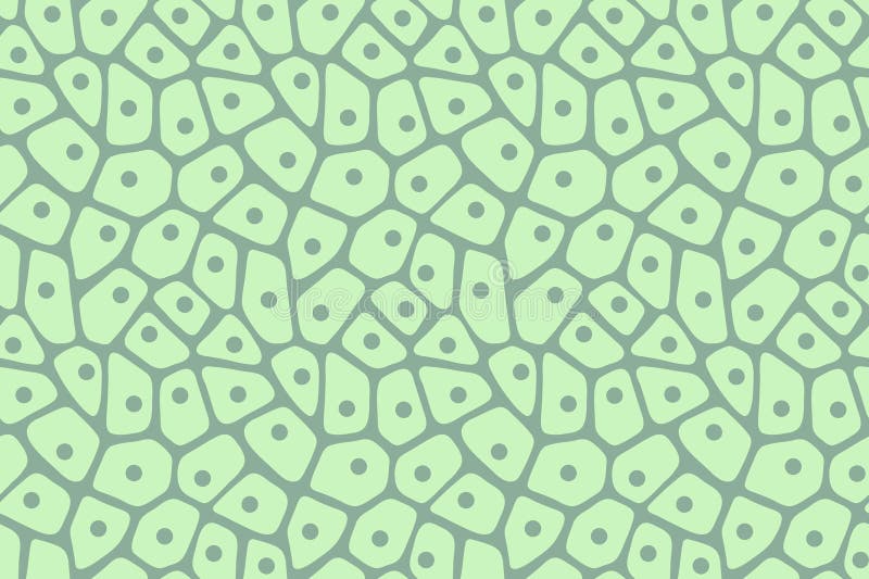 Seamless Plant Biological Cell Pattern Stock Vector - Illustration of ...