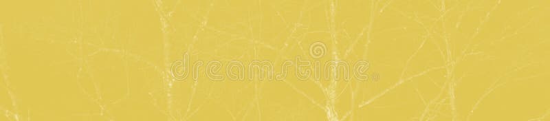 Abstract Light Mustard Color Background for Design Stock Image - Image ...