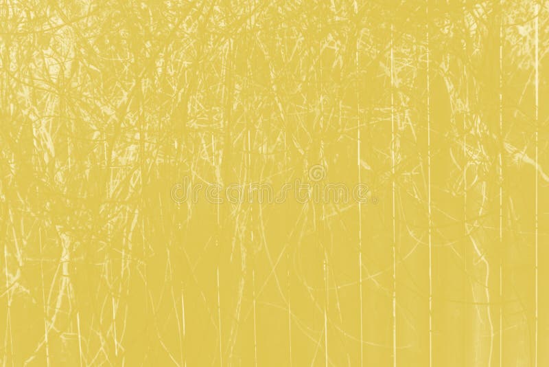 Abstract Light Mustard Color Background for Design Stock Photo - Image ...
