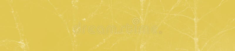 Abstract Light Mustard Color Background for Design Stock Image - Image ...
