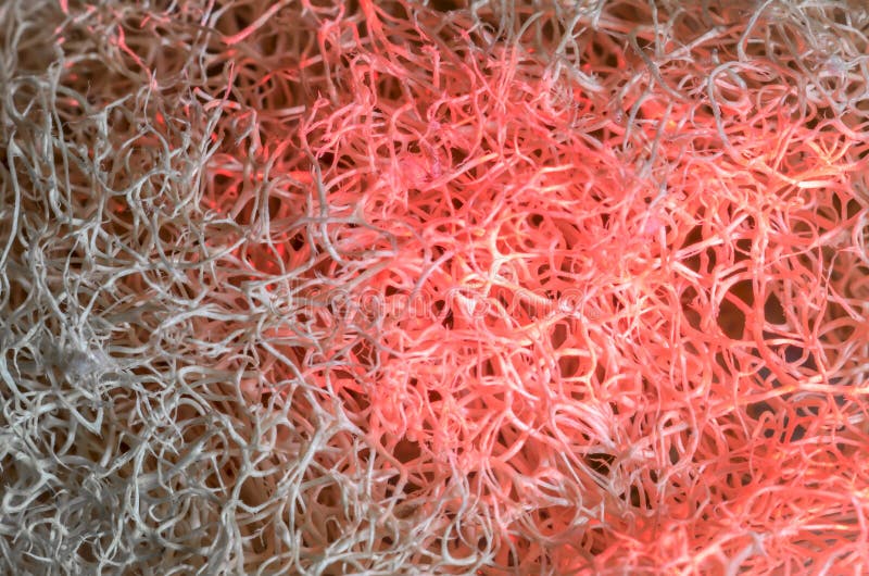 Abstract Light Painting Loofah Background. Stock Image - Image of ...