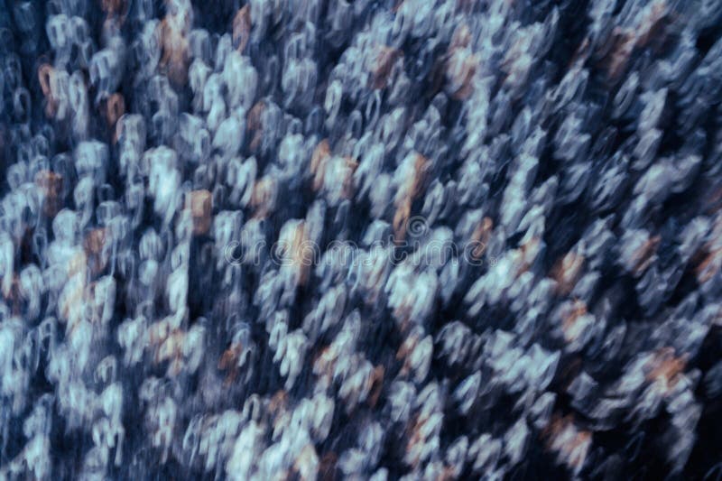 Abstract Light Trails Texture with Chaotic Swirling Patterns in Black ...