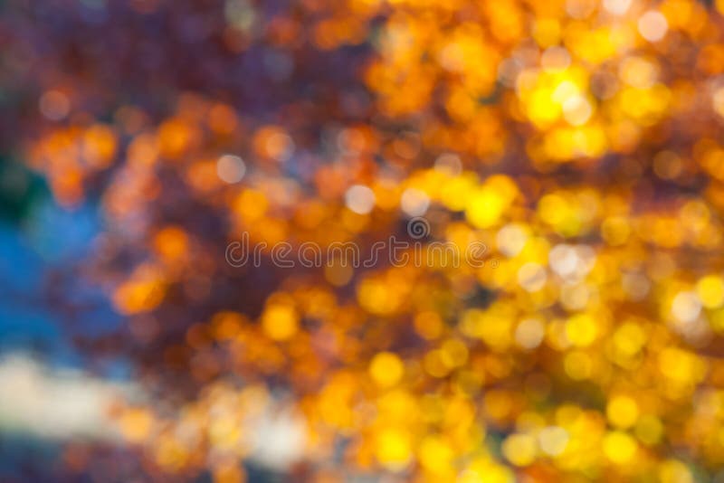 Abstract Light through Tree Leaves Stock Image - Image of design ...