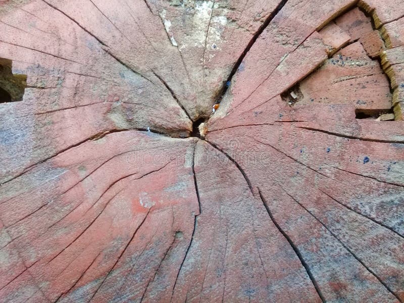 Abstract Line Texture on Wood . Stock Image - Image of surface, pattern ...