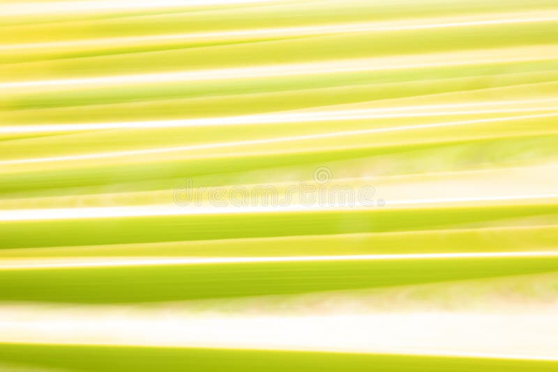 Abstract Lines Pattern Created with Intentional Camera Movement Stock ...