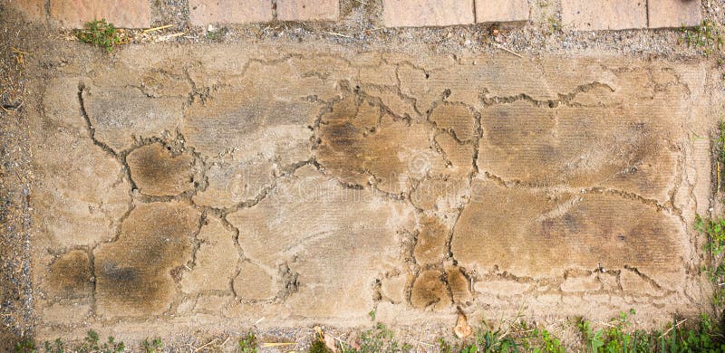 Ant Tracks Stock Photos - Free & Royalty-Free Stock Photos from Dreamstime