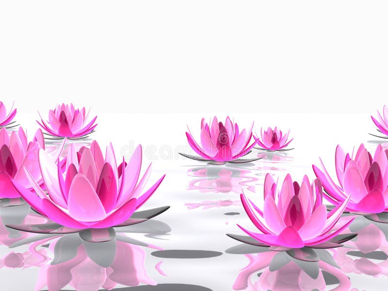 Abstract Lotus Drawing