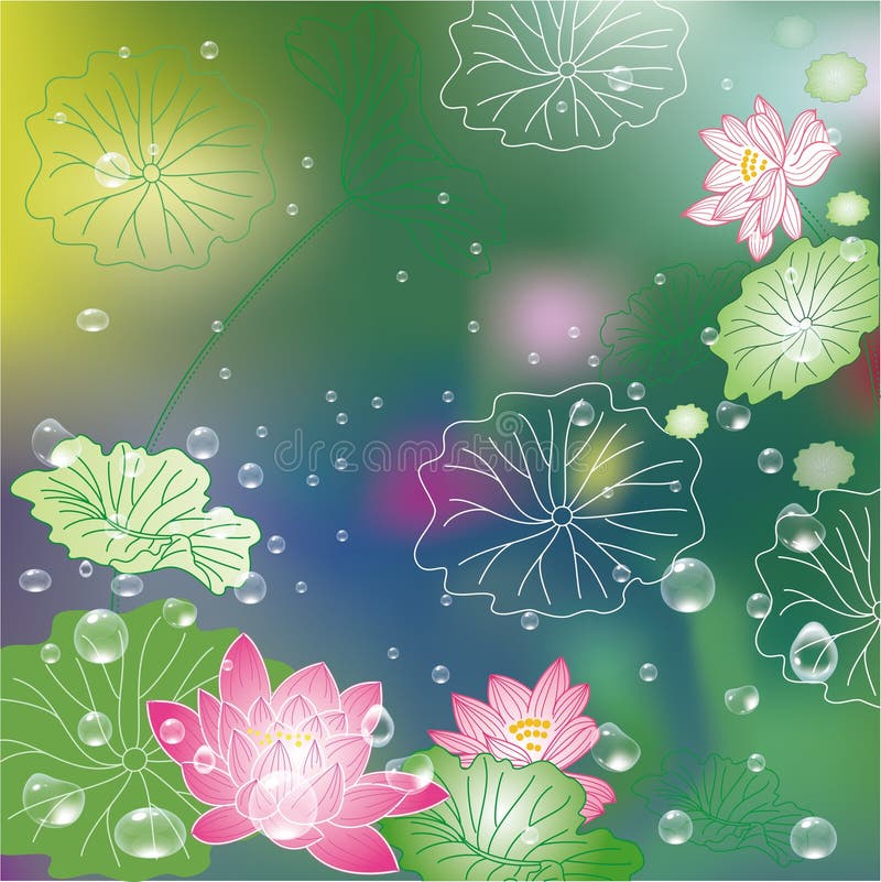 Abstract Lotus Flower Background Stock Vector - Illustration of ...
