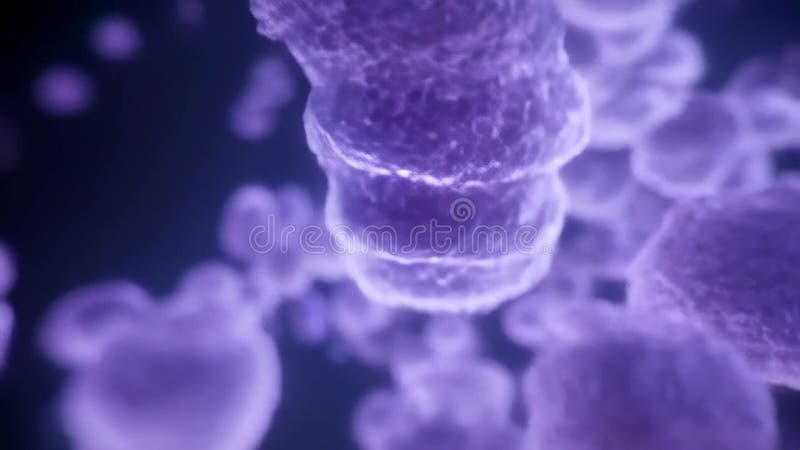 Abstract Macro Dolly Shot of Purple Microscopic Cell Structures in ...