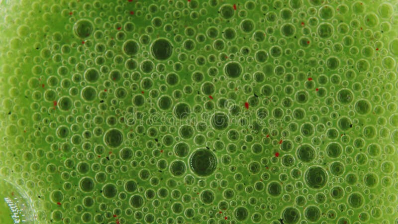 Abstract Macro Image of Green Liquid with Bubbles and Black Particles ...
