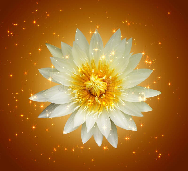 Abstract of magic Lotus stock illustration. Illustration of flower ...