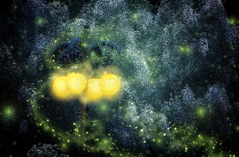 Abstract and Magical Image of Firefly Flying in the Night Forest. Fairy ... Abstract and Magical Image of Firefly Flying in the Night Forest. Fairy ...