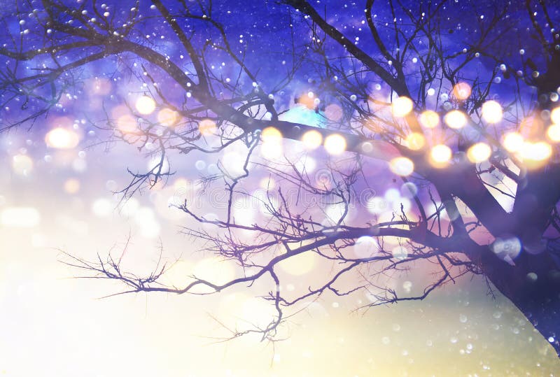 Abstract and Magical Image of Tree with Glitter Lights Stock Image ...