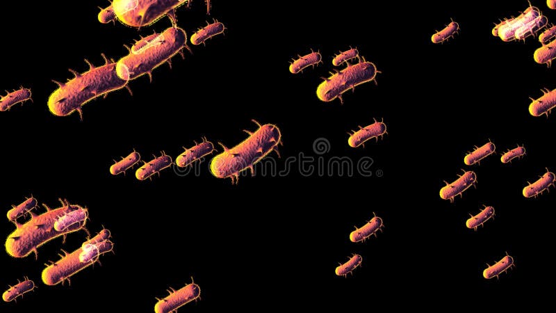 Abstract Magnified Under a Microscope Terry Tuberculus Sticks in Space ...