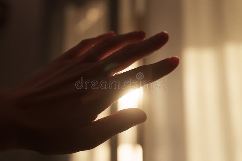 Abstract Man Hand Playing with Sunset Light Indoor Stock Photo - Image ...