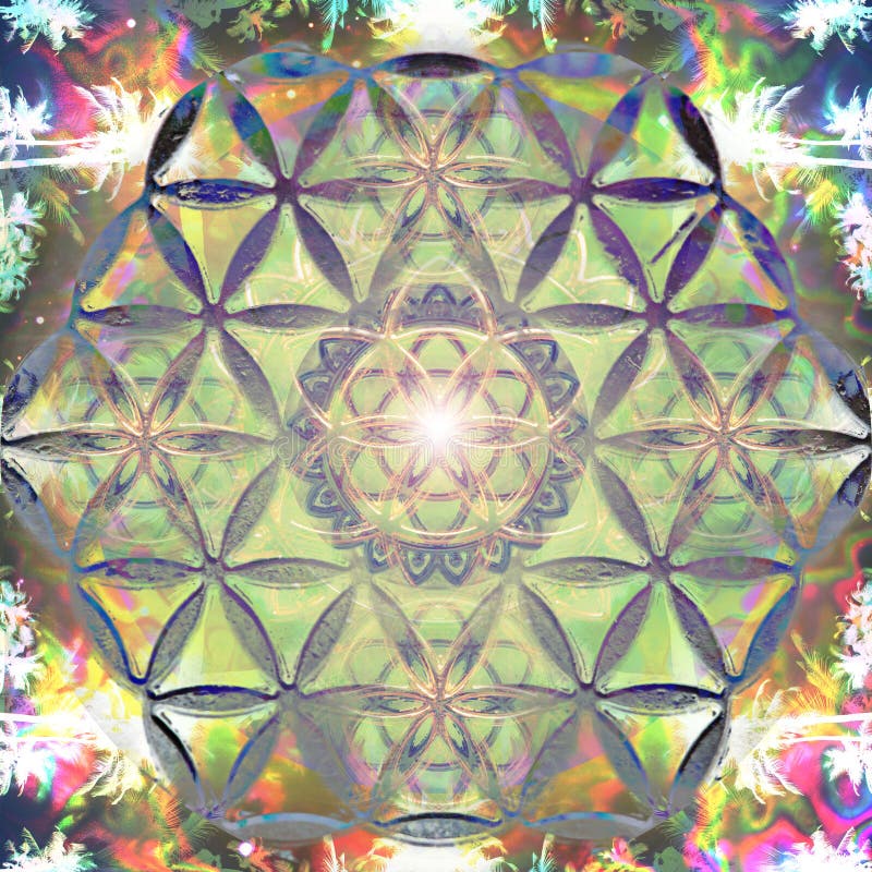 Abstract Mandala Flower of Life Pattern with Palm Trees Stock ...