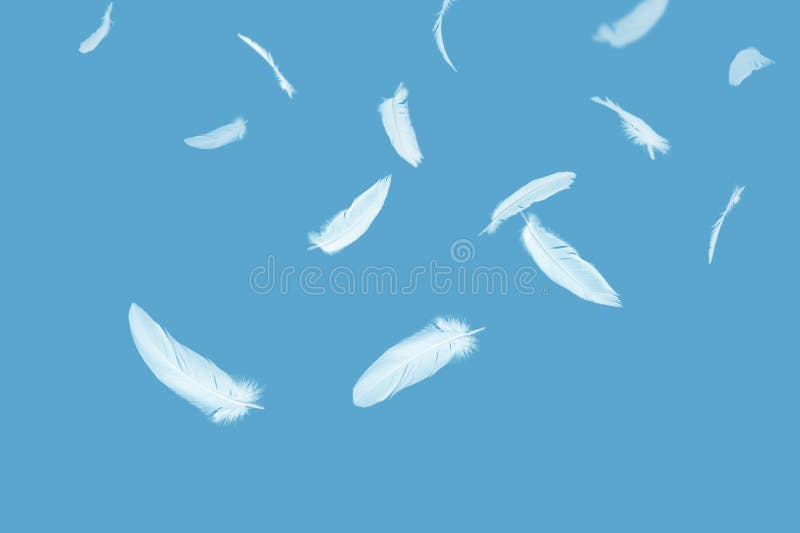 Abstract Many White Bird Feathers Falling in a Blue Sky Stock ...