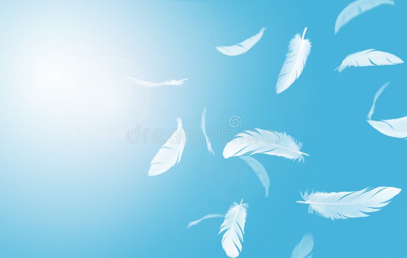 Abstract Many White Bird Feathers Floating in a Blue Sky. Softness of ...