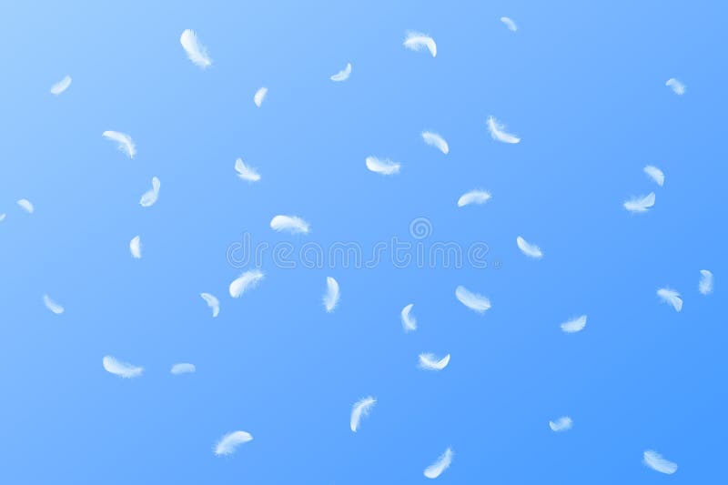 Abstract Many White Bird Feathers Floating in a Blue Sky. Softness of ...