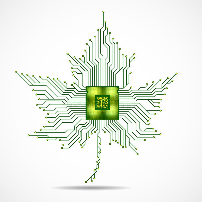Abstract Maple Leaf with Microprocessor Inside Stock Vector ...