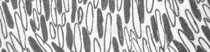 Abstract Mark Scribble. Overlay Grunge Texture Stock Photo - Image of ...