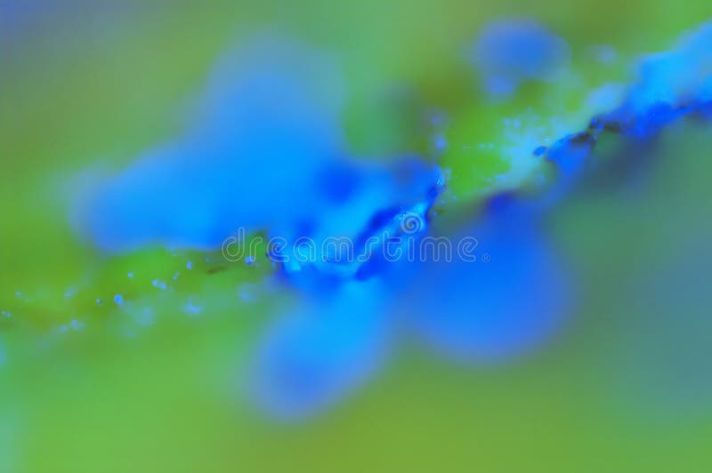 Abstract Micro Photo Background Stock Image - Image of macro, storm ...