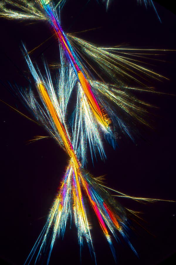 Abstract Micrograph of Crystals of the Amino Acid Alanine Stock Photo ...