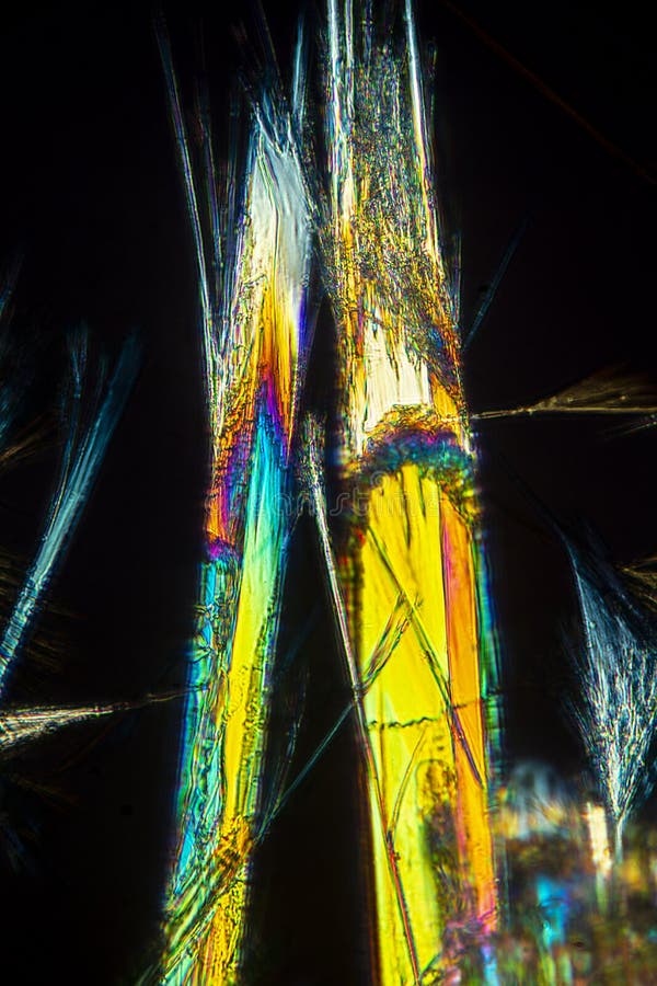 Abstract Micrograph of Crystals of the Amino Acid Alanine Stock Image ...