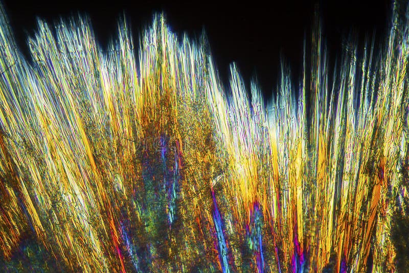 Abstract Micrograph of Crystals of the Amino Acid Alanine Stock Image ...