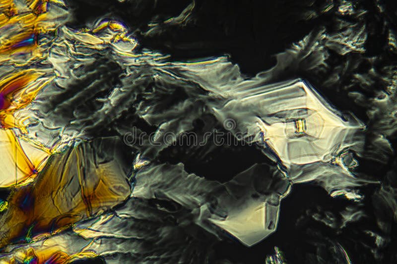 Abstract Micrograph of Amino Acid Crystals with Dynamic Dark Shapes ...