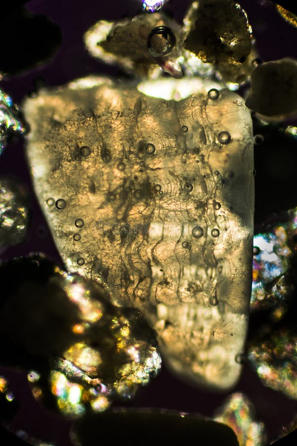 615 Quartz Sand Grains Stock Photos - Free & Royalty-Free Stock Photos ...