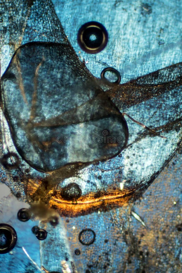 Abstract Micrograph of Snake Skin Shed from a Molt. Stock Image - Image ...