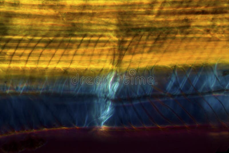 Lightning Microscope Stock Photos - Free & Royalty-Free Stock Photos ...