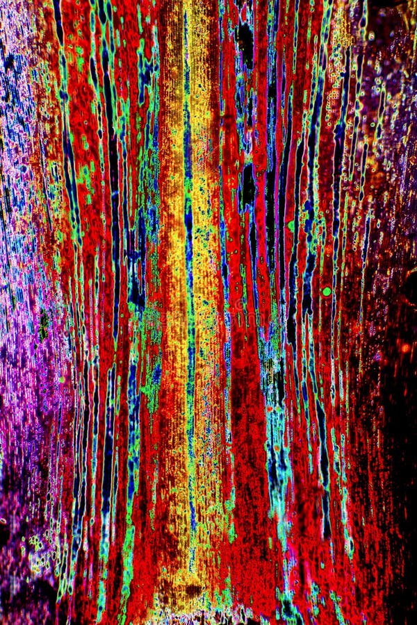 Abstract Micrograph of Vascular Tissue in a Protea Flower Bract Stock ...