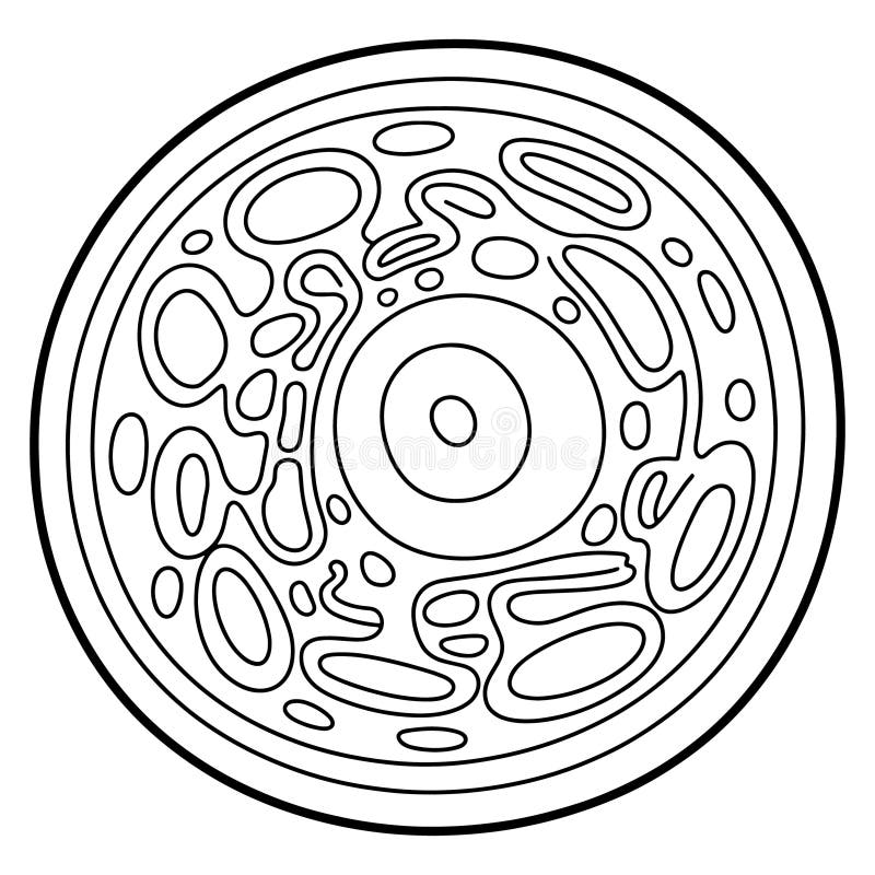 Abstract Microscopic Biological Cell Structure Vector Illustration ...