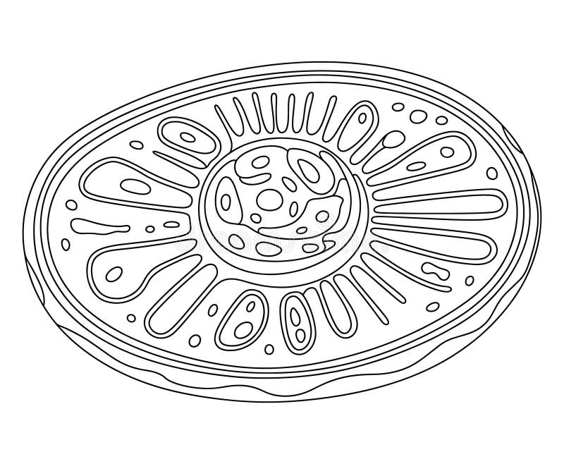 Abstract Microscopic Biological Cell Structure Vector Illustration ...