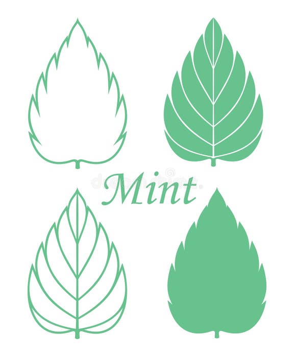 Abstract Mint stock vector. Illustration of silhouette - 78109809