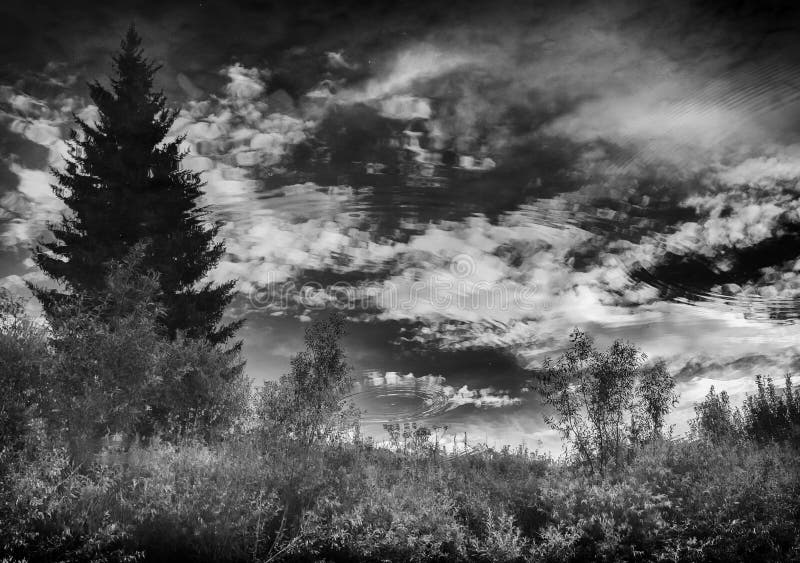 Abstract Mirror Reflection of Landscape in the Water Stock Image ...