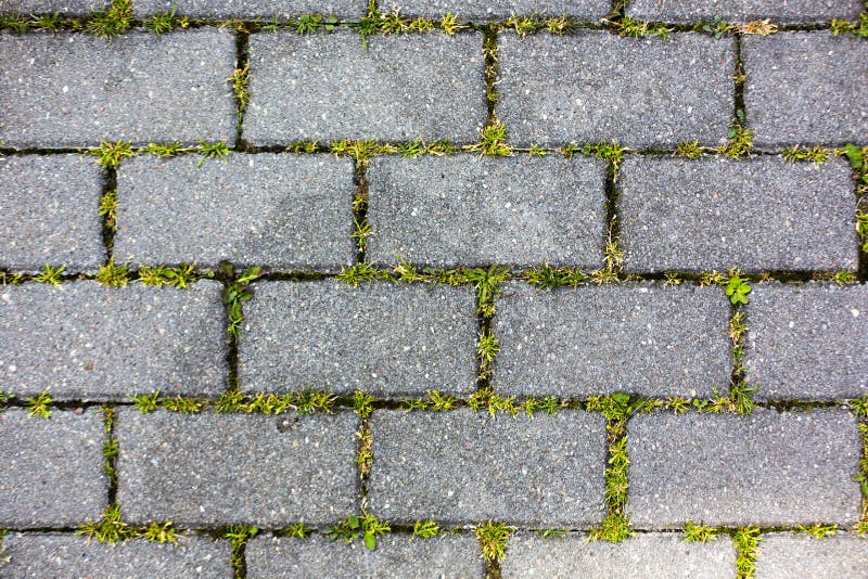 A Path of Concrete Tile with Grass Pattern Texture Background Stock ...
