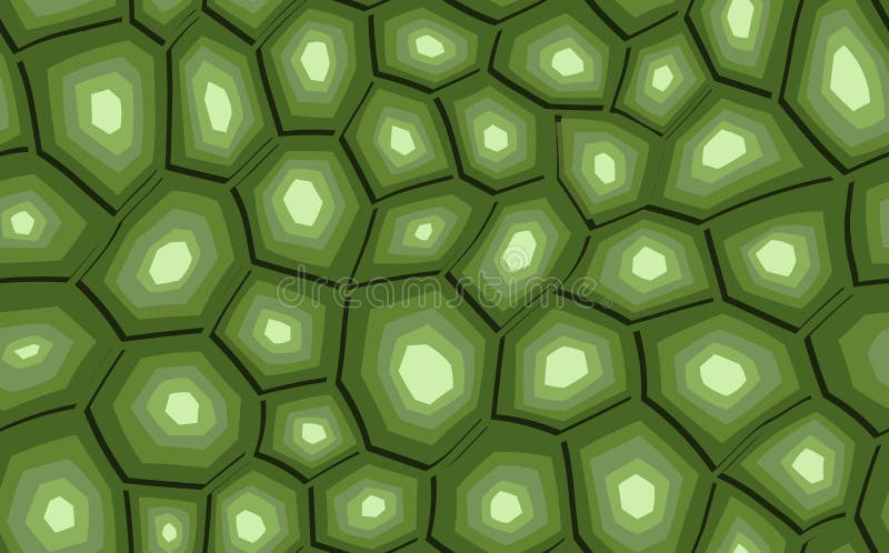 Abstract Modern Turtle Shell Seamless Pattern. Animals Trendy ...