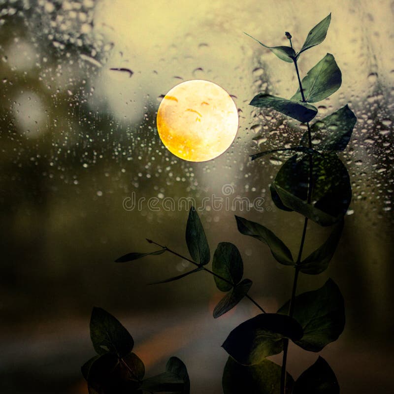 Abstract Moon Surface. Generative Ai Stock Photo - Image of galaxy ...