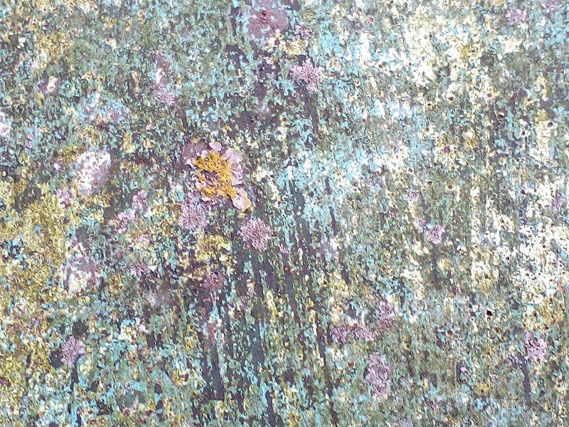 Abstract: Moss in the Park. Stock Image - Image of home, moss: 390354035