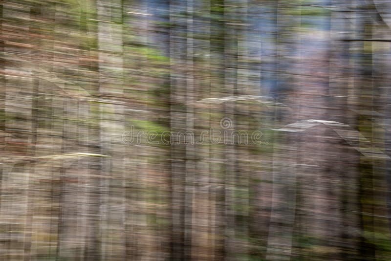 Abstract Motion Blur Background Depicting Forest Trees Stock Photo ...