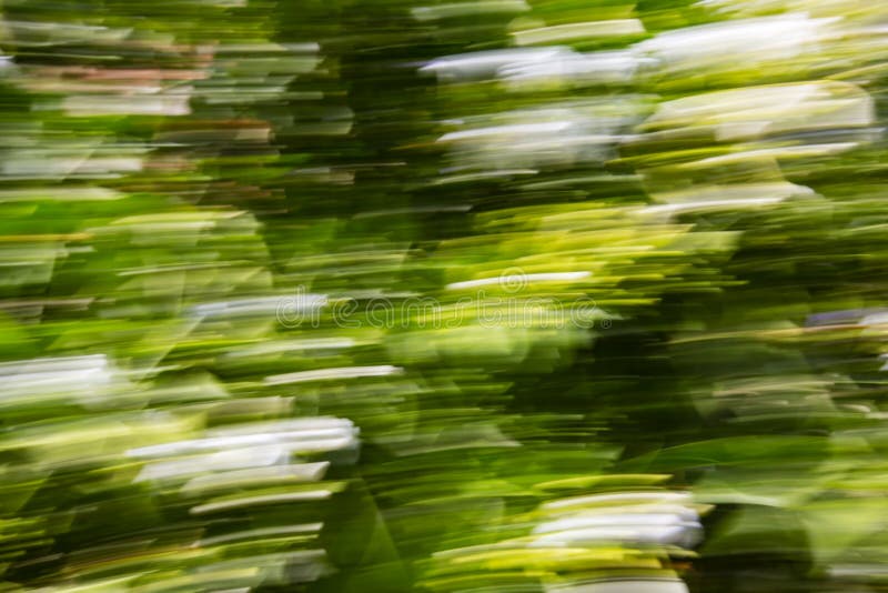 Abstract Motion Blur Effect. Spring Blurred Flowers Stock Photo - Image ...