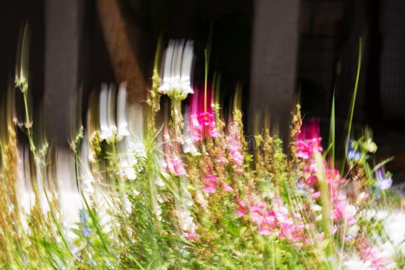 Abstract Motion Blur Effect. Spring Blurred Flowers Stock Photo - Image ...