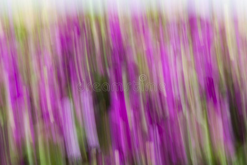 Abstract Motion Blur Effect. Spring Blurred Flowers. Stock Image ...