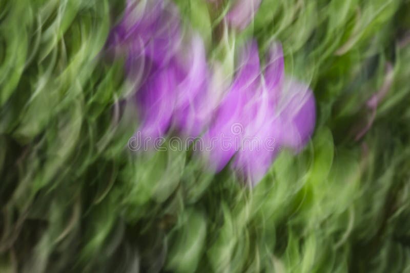 Abstract Motion Blur Effect. Spring Blurred Flowers. Stock Photo ...