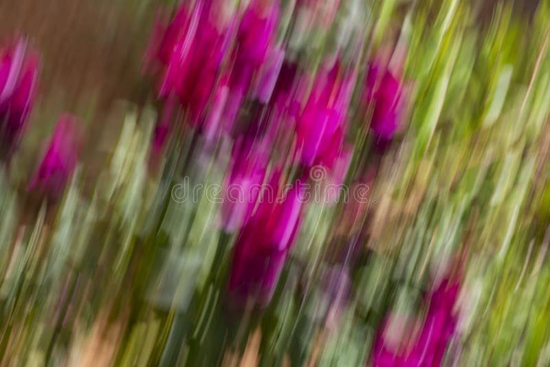 Abstract Motion Blur Effect. Spring Blurred Flowers. Stock Image ...