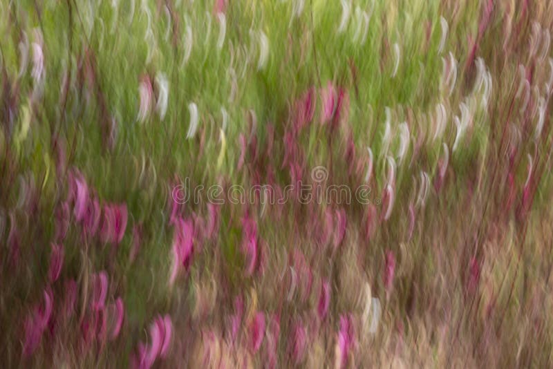 Abstract Motion Blur Effect. Spring Blurred Flowers. Stock Photo ...