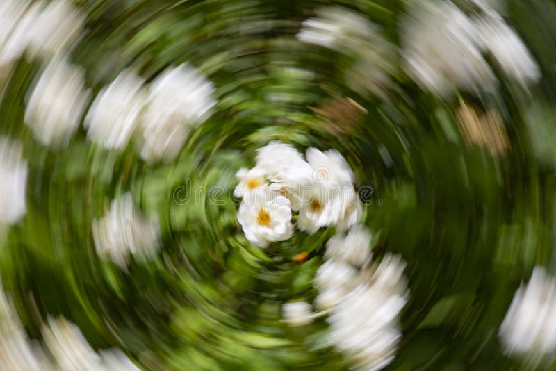 Abstract Motion Blur Effect. Spring Blurred Flowers. Stock Image ...